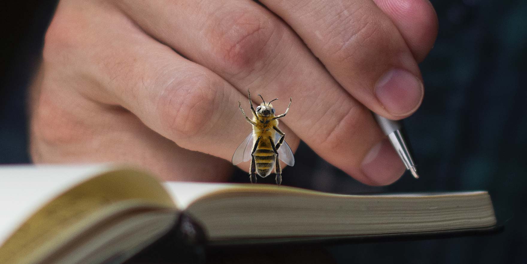 Who is Bee Influencer? @bee_nfluencer, explained